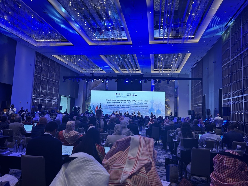 Strengthening disaster displacement governance | IDMC - Internal ...