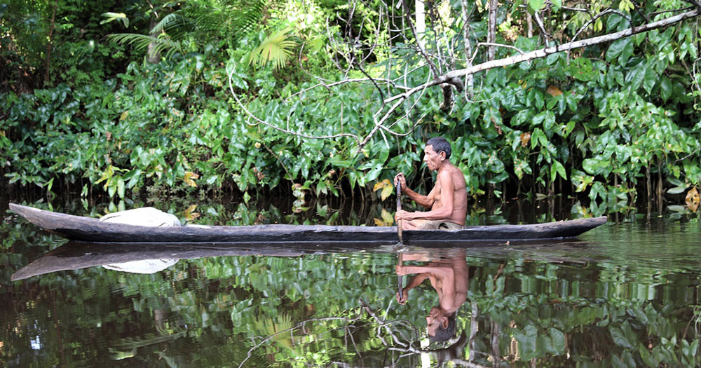 When land, knowledge and roots are lost: indigenous peoples and ...